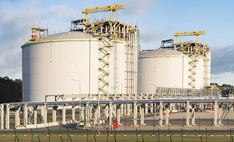 Cryogenic temperature tank wall and roof